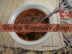 GAPS Soups Round Up | GAPS Diet Journey
