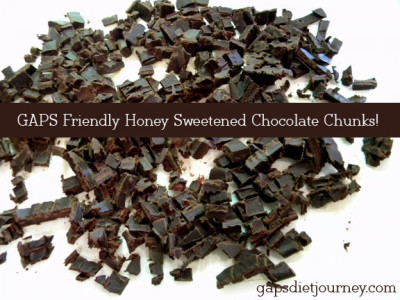 Chocolate Chips (Sugar-Free, Dairy-Free, Soy-Free) & a GAPS Friendly ...